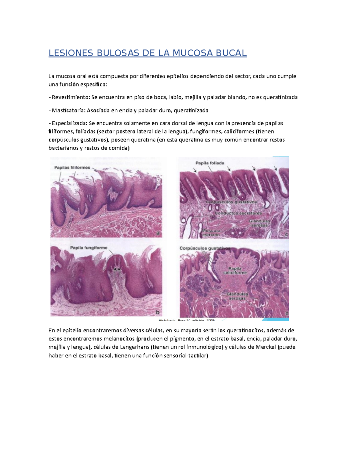 Lesiones Bulosas de la Mucosa Bucal - LESIONES BULOSAS DE LA MUCOSA ...