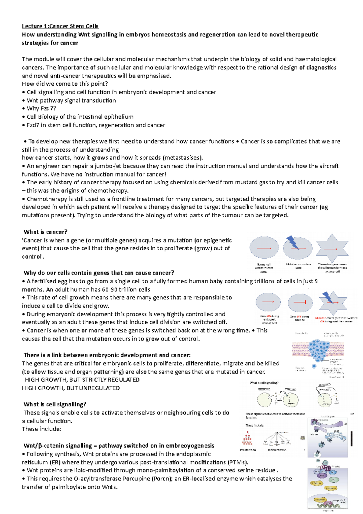 Stem cells - notes - Lecture 1:Cancer Stem Cells How understanding Wnt ...