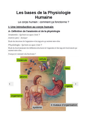 Seconde svt bilan - corps humain et santé - Biologie Humaine - Studocu
