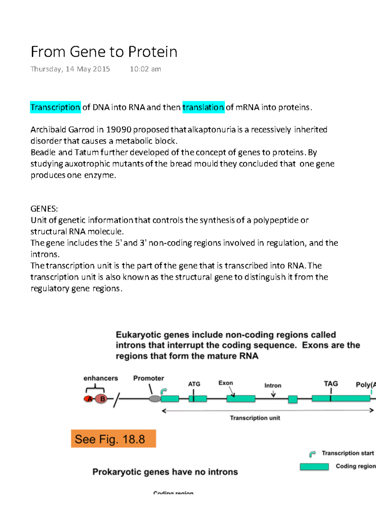 Lecture Notes, Lecture 9, From Gene to Protein - From Gene to Protein ...