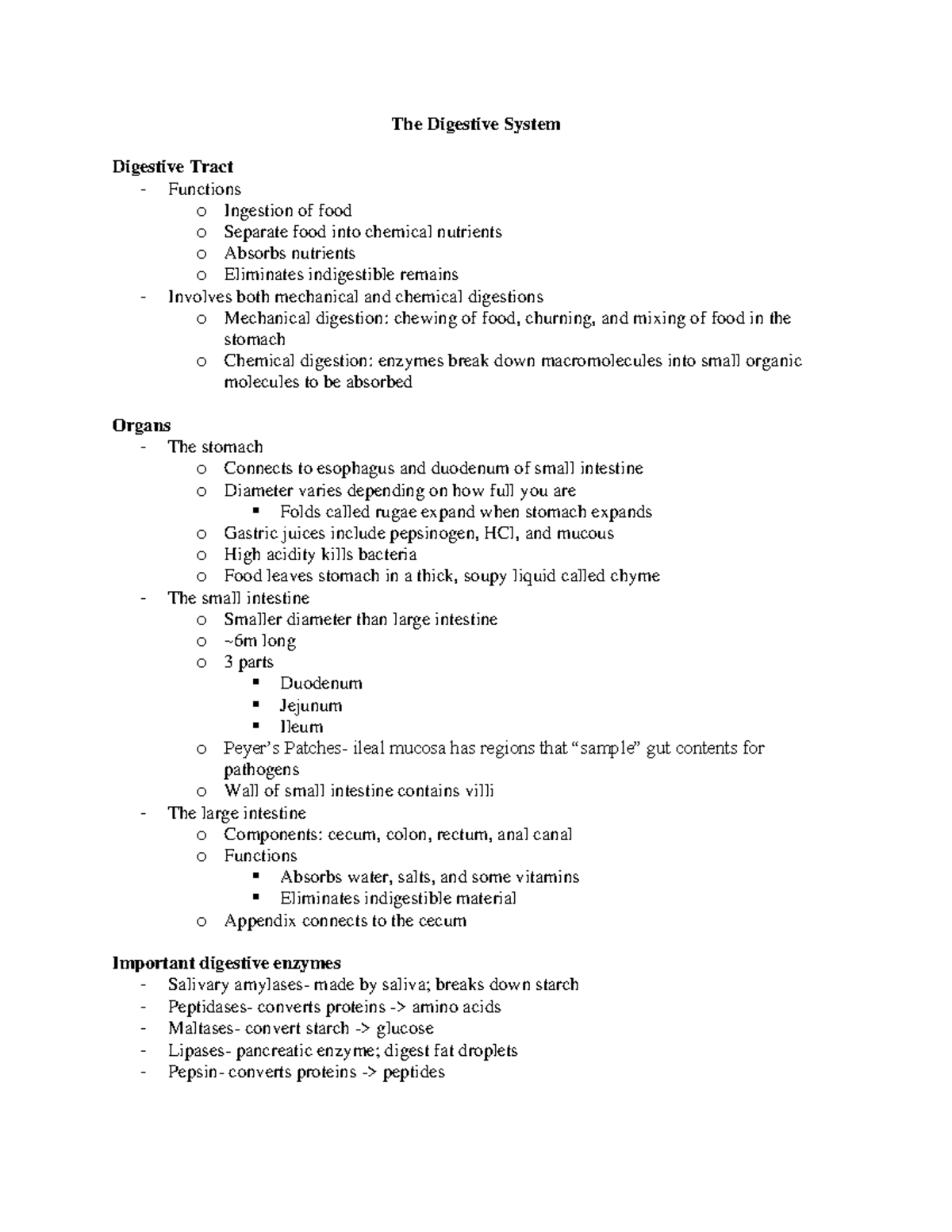 The Digestive System - The Digestive System Digestive Tract - Functions ...