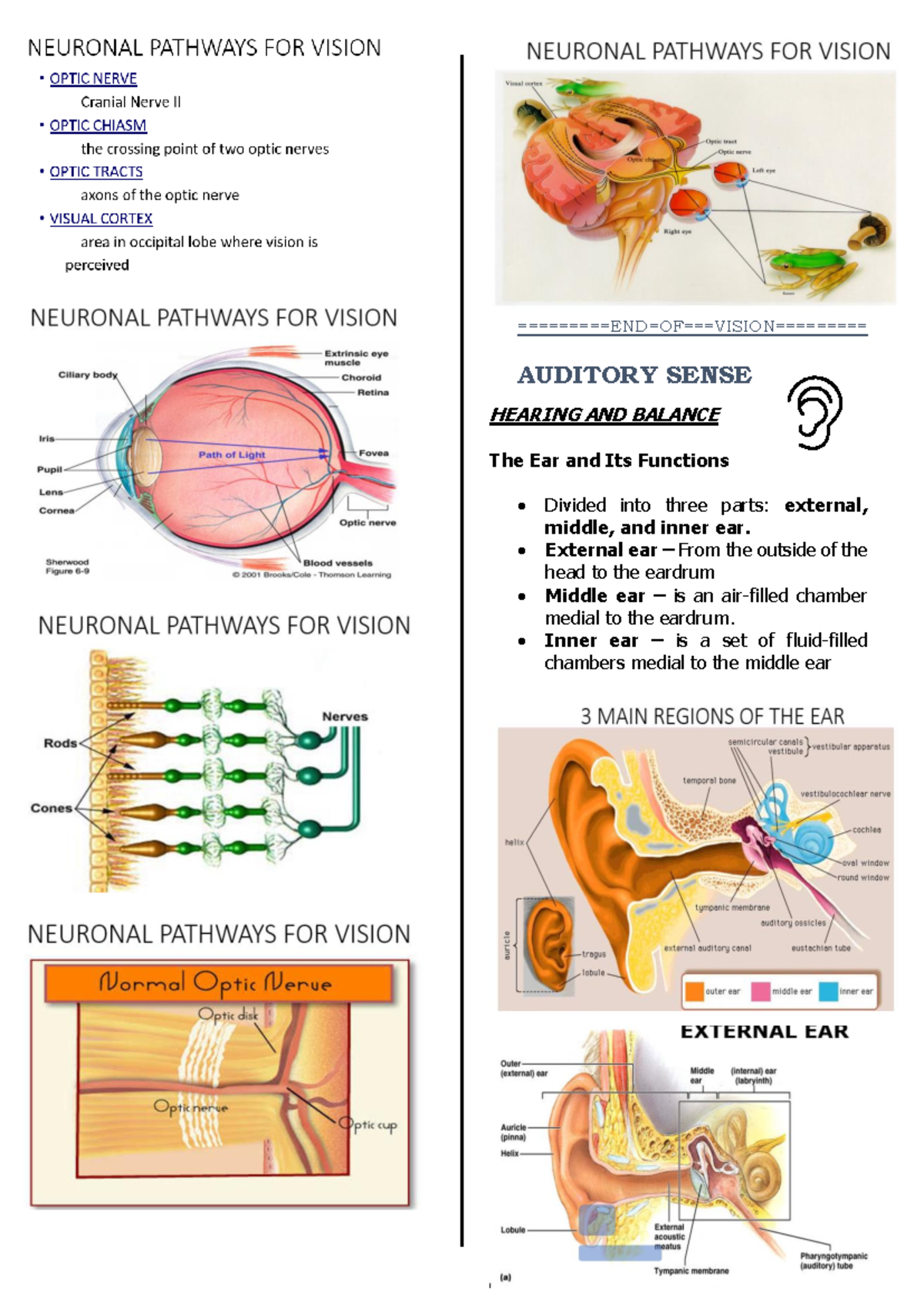 EAR Reading Material AND PPT Combined WK8 - =========END=OF===VISION ...