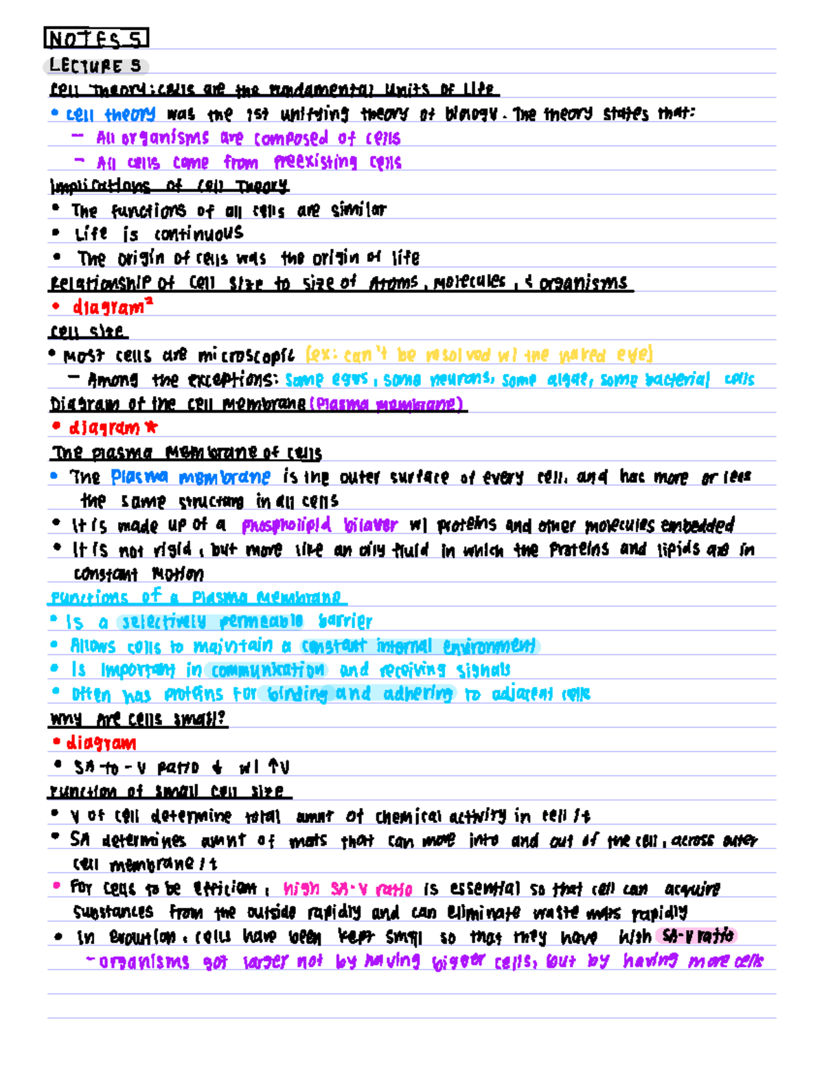Bio20A Lecture 5 - Jeremy Lee - NOTES 5 LECTURE 5 ####### cell Theory ...