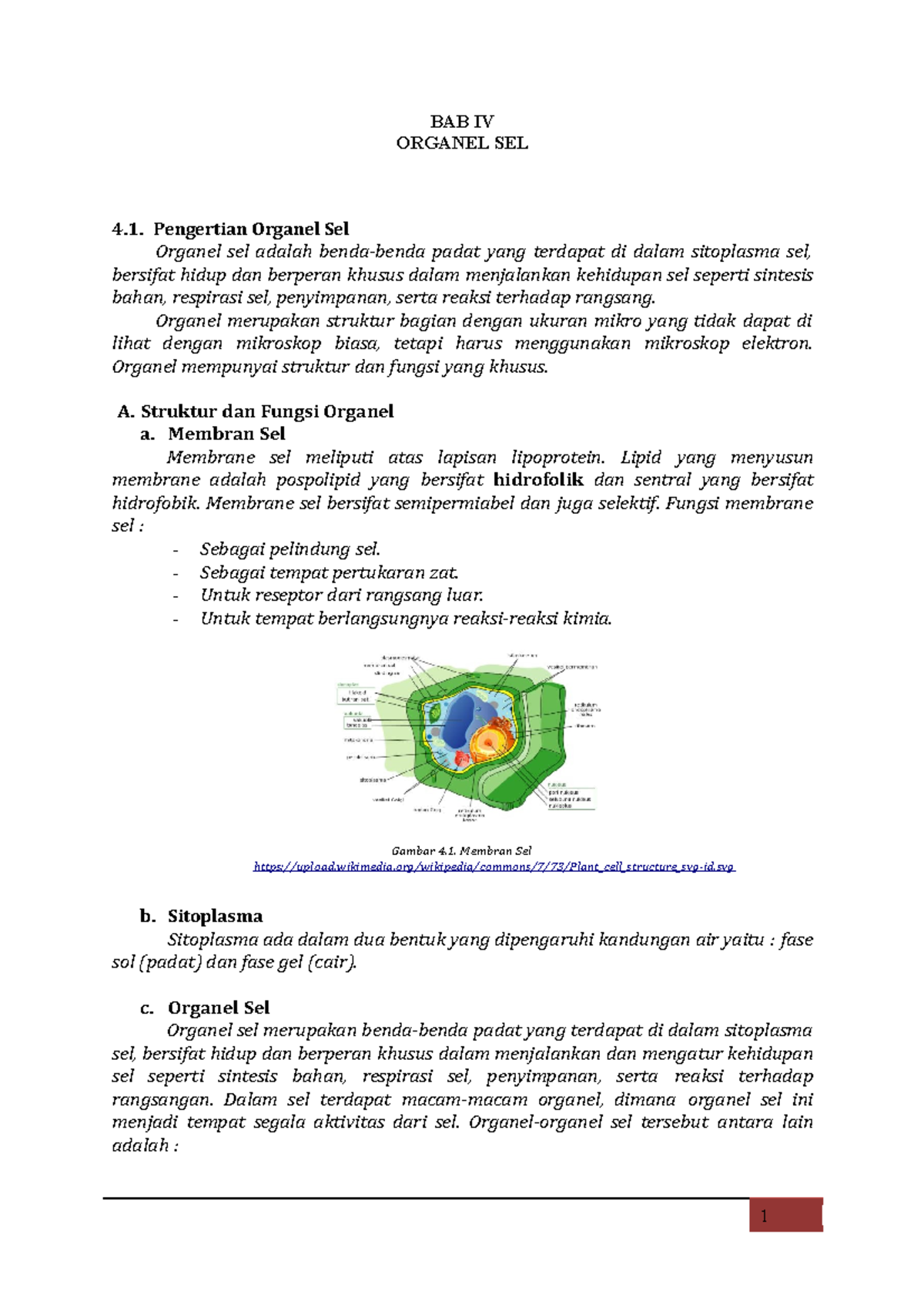 Modul Biologi Sel Bab 4 Organel Sel - BAB IV ORGANEL SEL Pengertian Organel Sel Organel sel ...