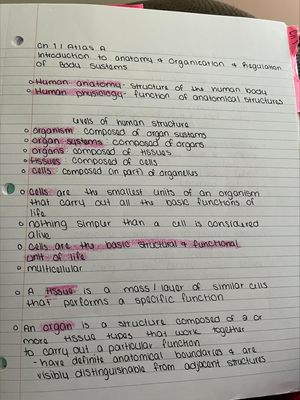 Basic Human Anatomy 4 - notes - Basic Human Anatomy Lesson 5: Muscular ...