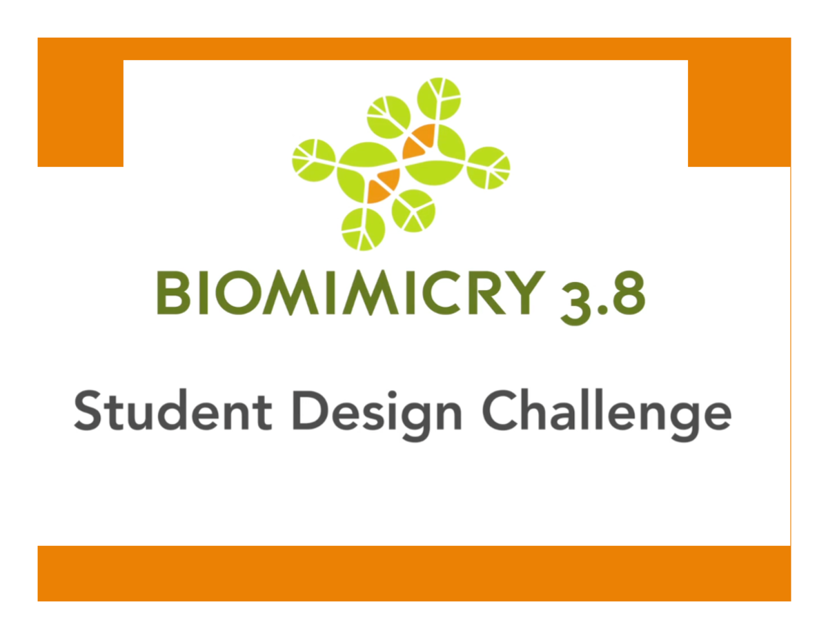 Biomimicry SDC 3 1 - bio mimicking and their examples - What is ...