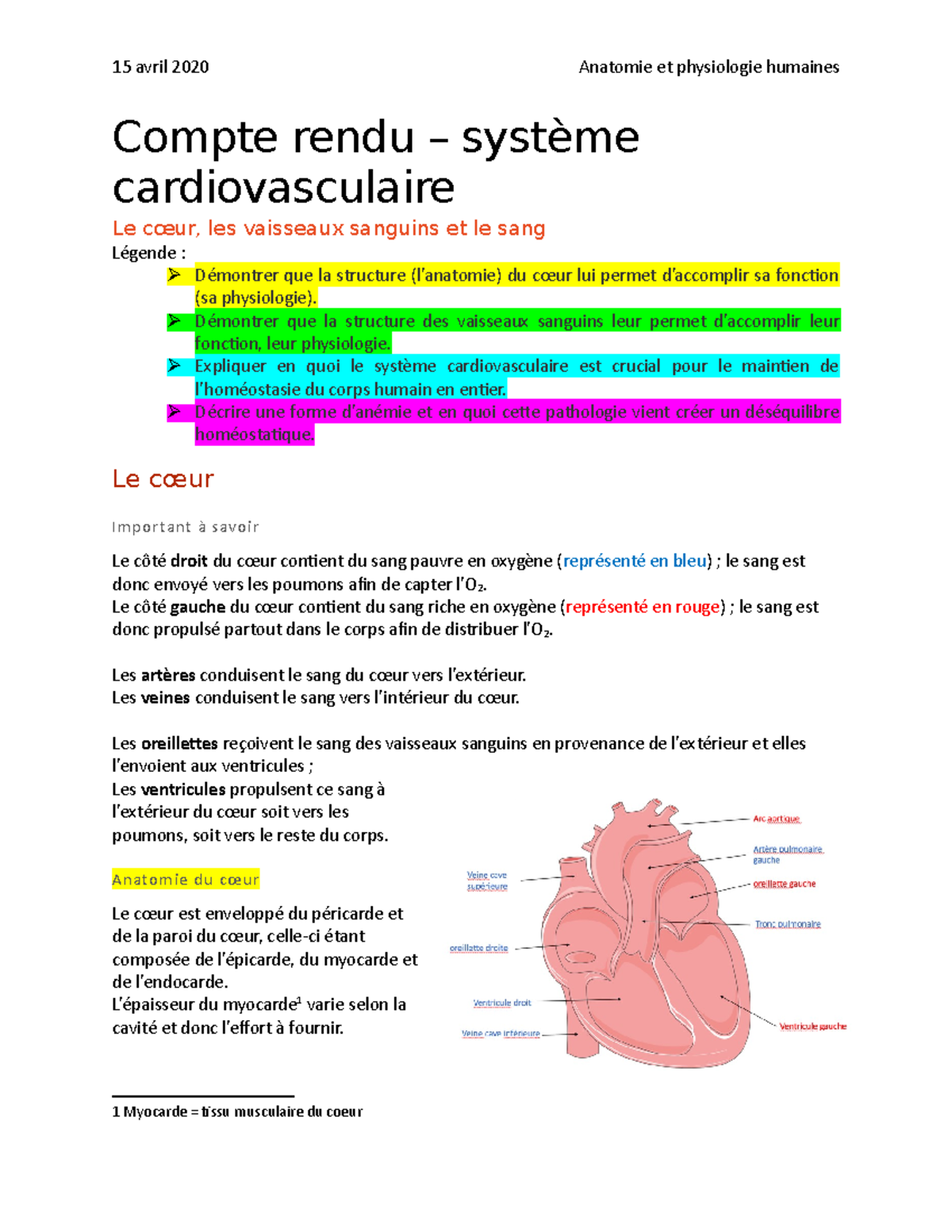 le système cardiovasculaire résumé - Compte rendu – système ...
