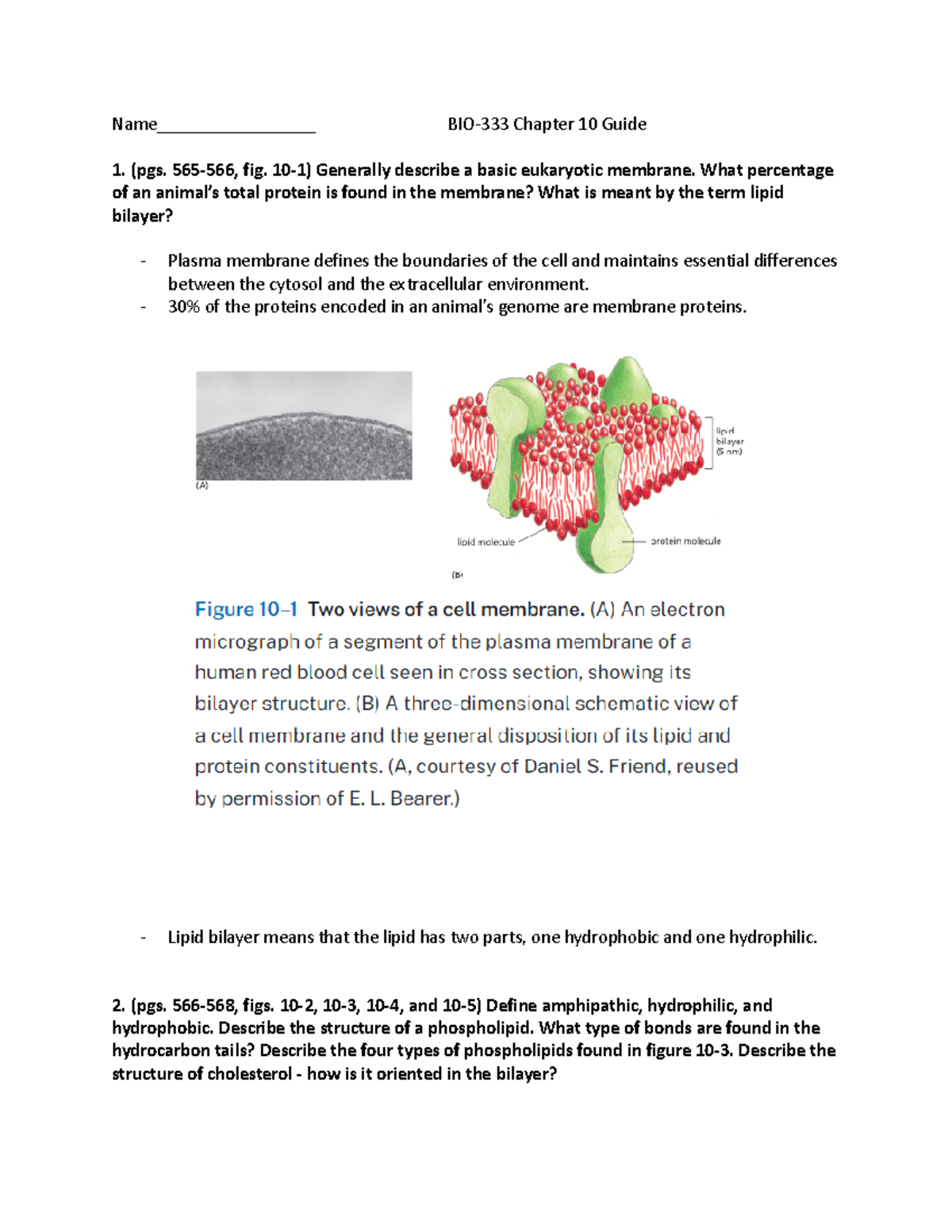 BIO-333 CH10 Guide - Name_________________ BIO-333 Chapter 10 Guide ...