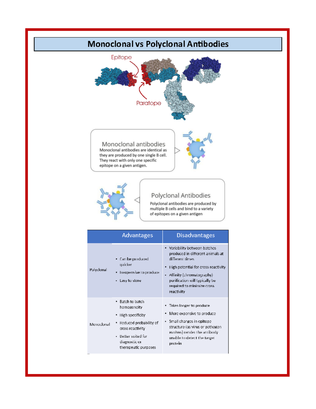 Monoclonal vs Polyclonal Antibodies - MAP 6111 - Studocu