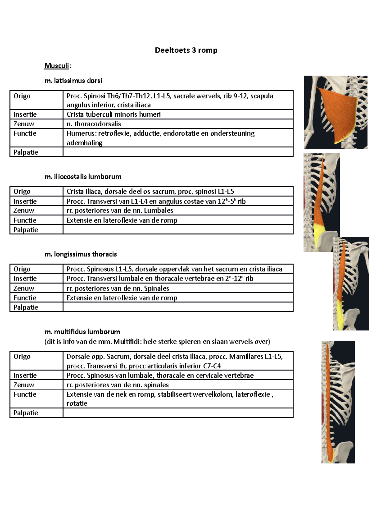 Deeltoets 3 romp - Deeltoets 3 romp Musculi: m. latissimus dorsi Origo ...