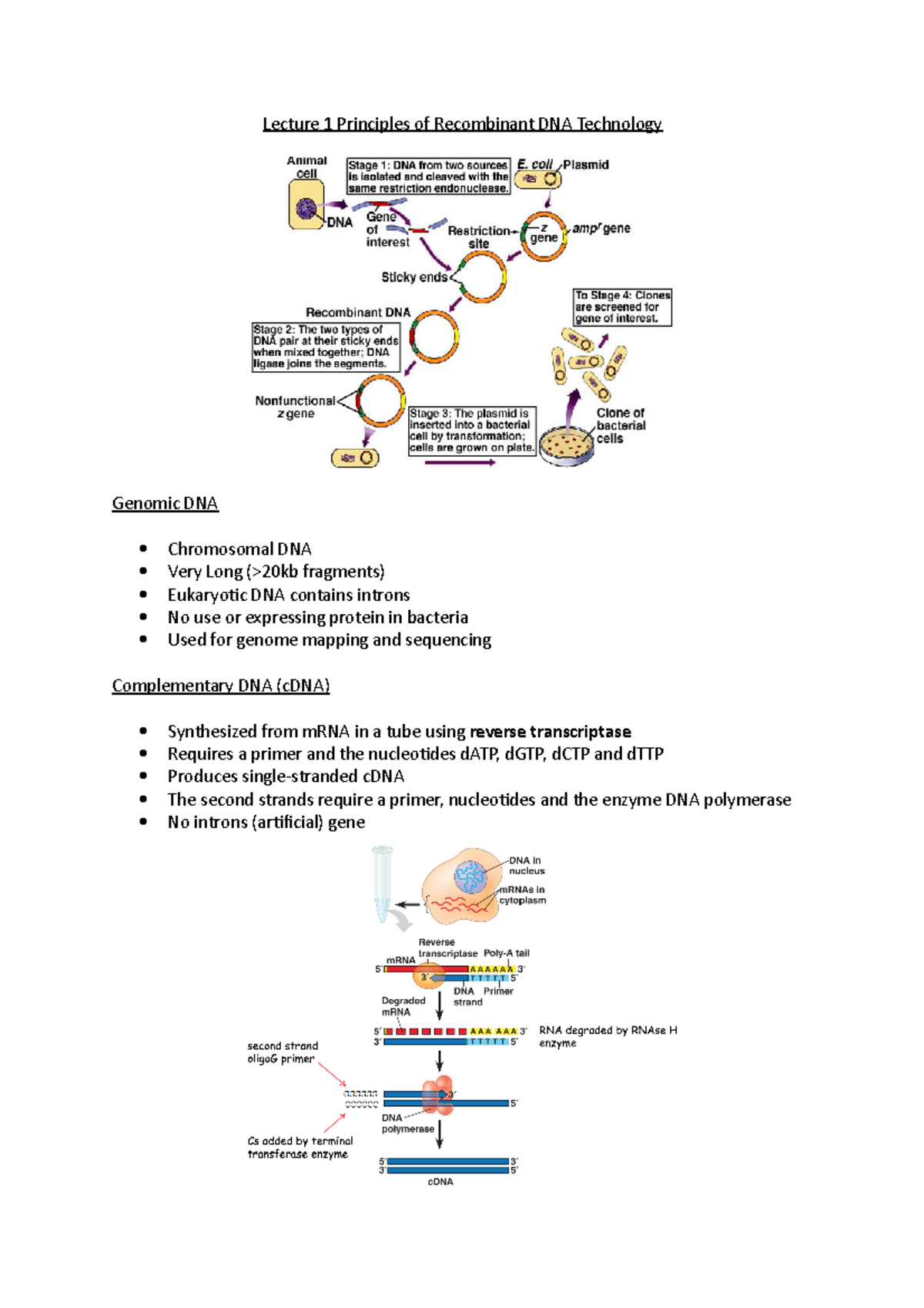 Lecture 1 Principles Of Recombinant Dna Technology Lecture 1 Principles Of Recombinant Dna