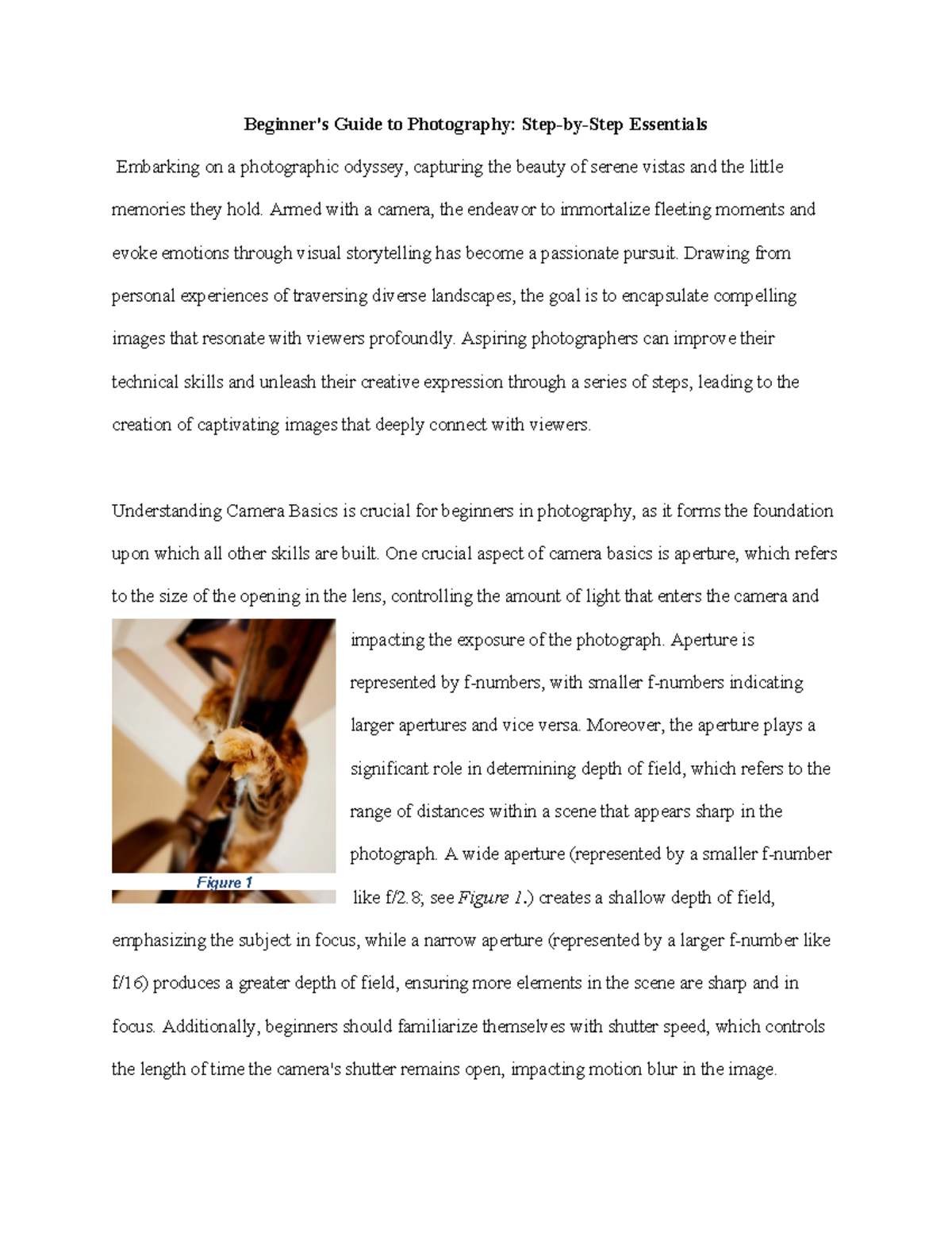 ENGL 255 Assignment 3 - Beginner's Guide to Photography: Step-by-Step ...