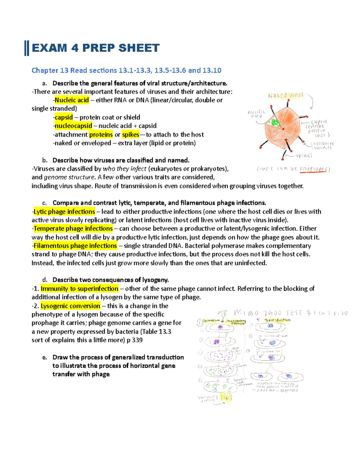 Exam 4 prep sheet copy - Grainy - EXAM 4 PREP SHEET Chapter 13 Read ...