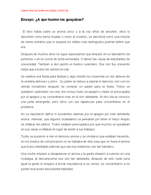 Test de Raven - cuestionario - Test de matrices progresivas de Raven ...