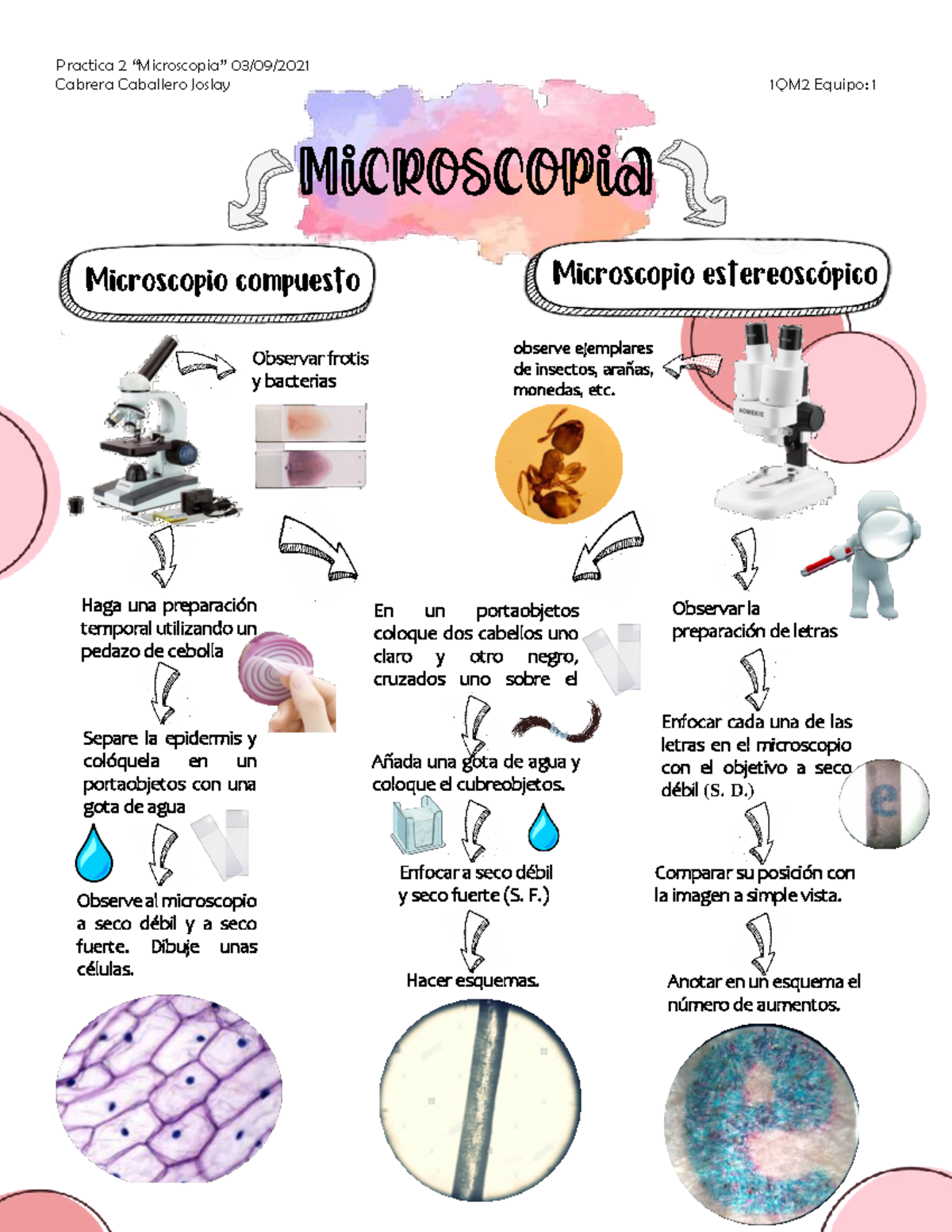 Practica 2 - DDF de microscopia - Practica 2 “Microscopia” 03 /09 ...