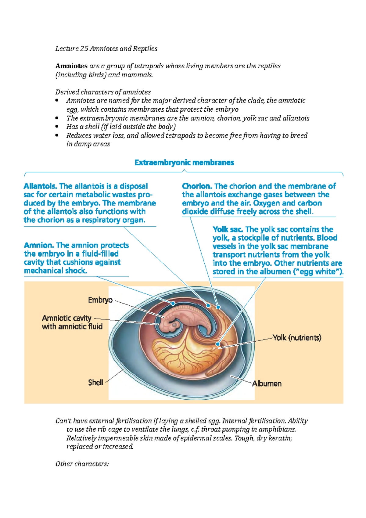 Lecture 25 Amniotes and Reptiles - Lecture 25 Amniotes and Reptiles ...