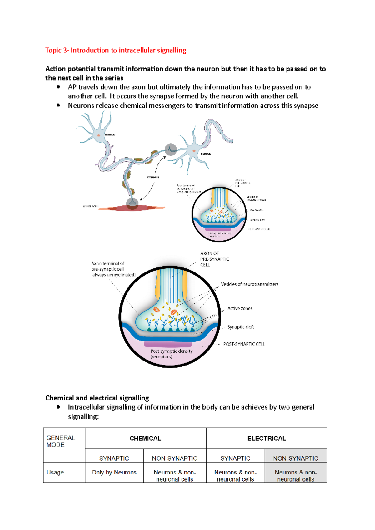Topic 3- Introduction to intracellular signalling - It occurs the ...