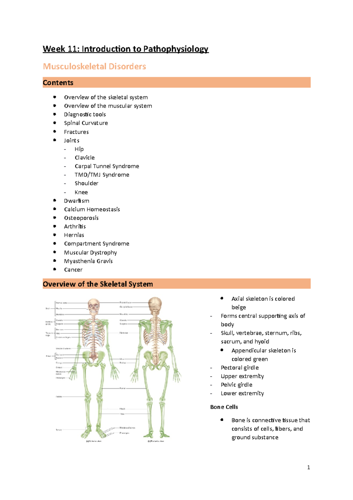Intro to Pathophysiology Musculoskeletal Disorders - Lecture 11 - Week ...