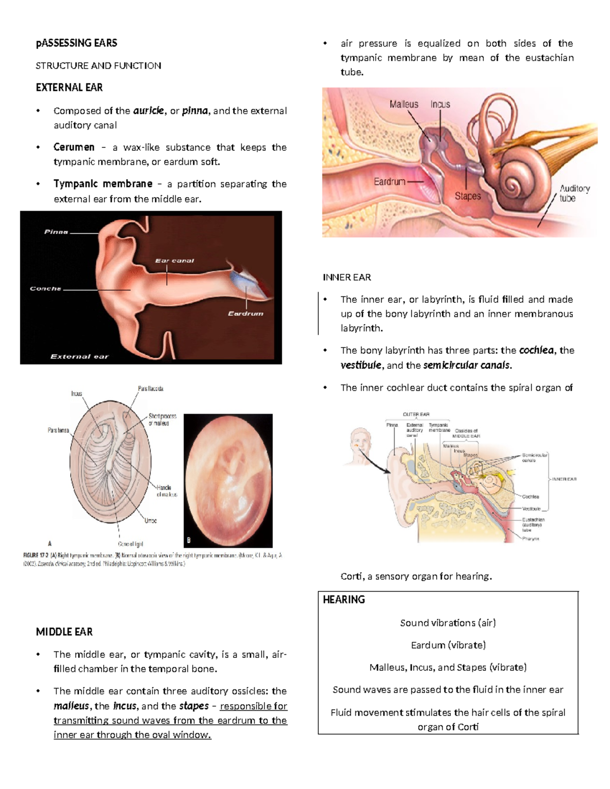 Assessing EARS - pASSESSING EARS STRUCTURE AND FUNCTION EXTERNAL EAR ...