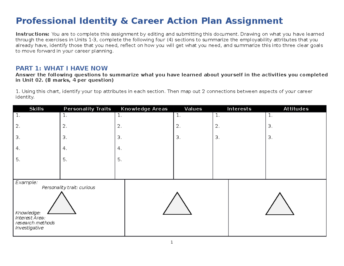 Career Action Plan Assignment - Professional Identity & Career Action ...