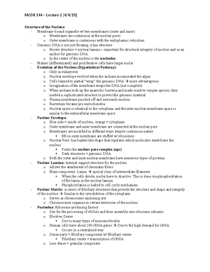 Lecture notes - Molecular Biology - I. DNA Structure and Replication ...