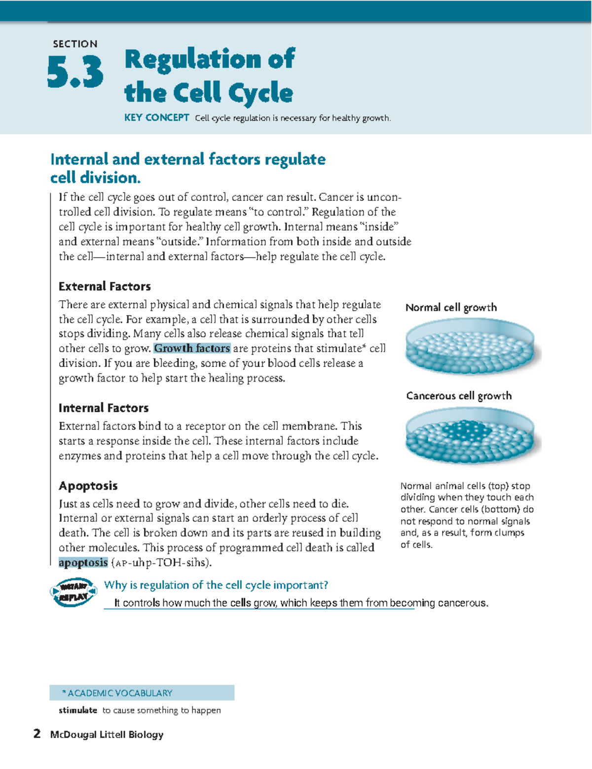 Kami Export - 5.3 Regulation of the Cell Cycle Interactive Reader ...