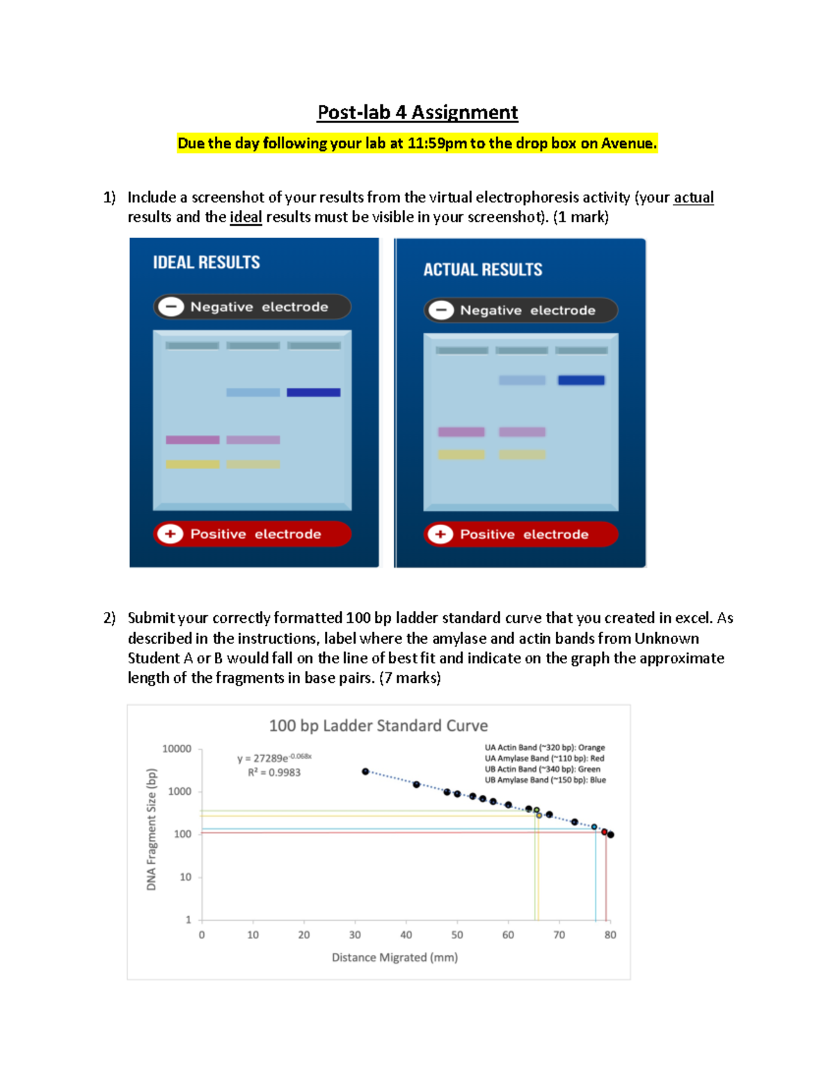 Bio 1a03 Post Lab 4 Assignment Post Lab 4 Assignment Due The Day Following Your Lab At 11