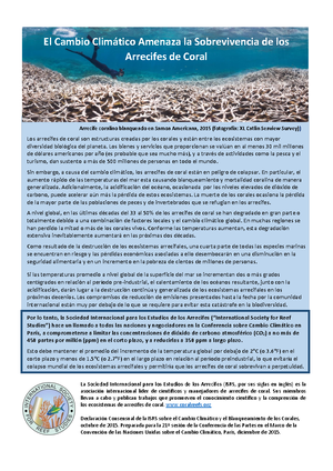 Copias 4 al 22 de noviembre - LOS VERBOS Los verbos son Vencer Estar ...