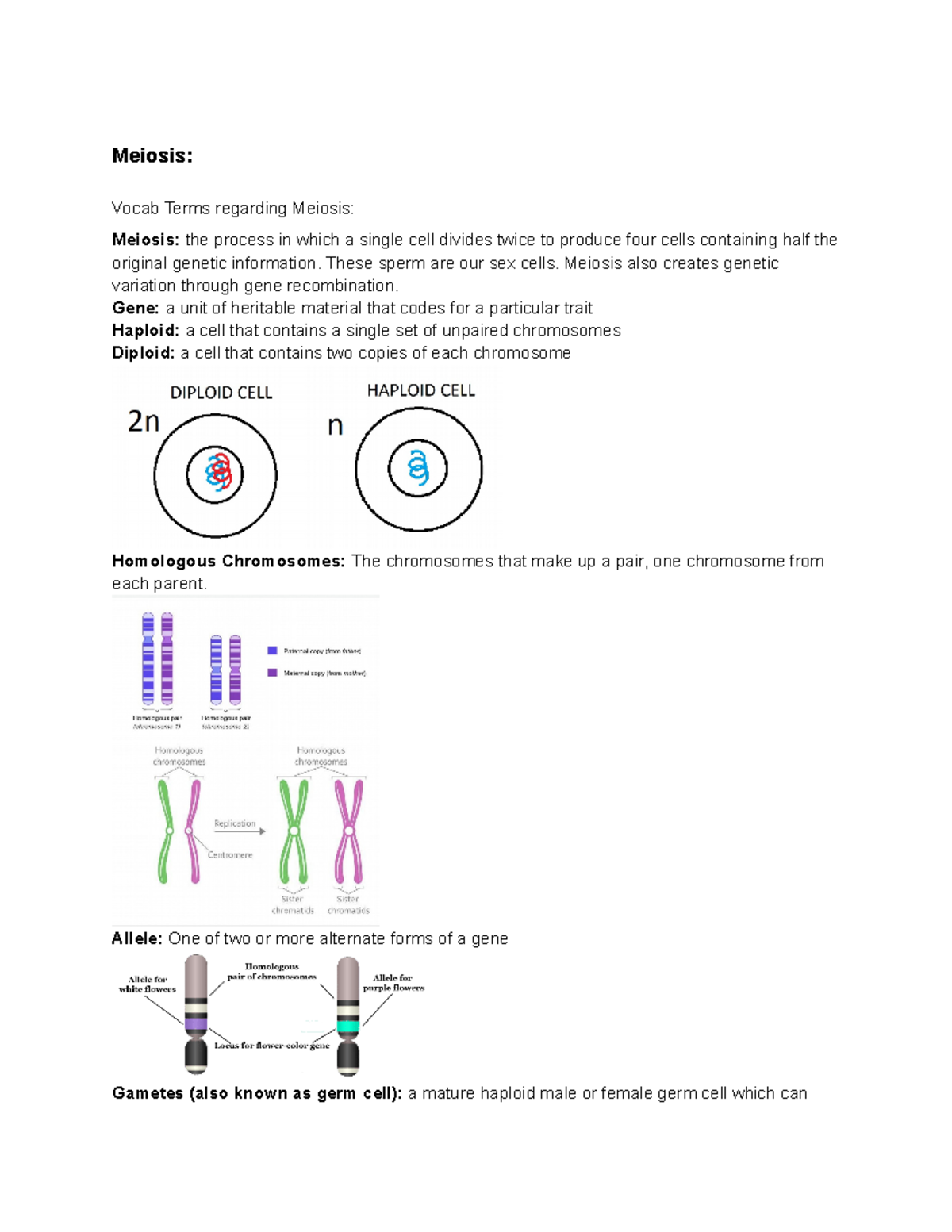 Meiosis Terminology