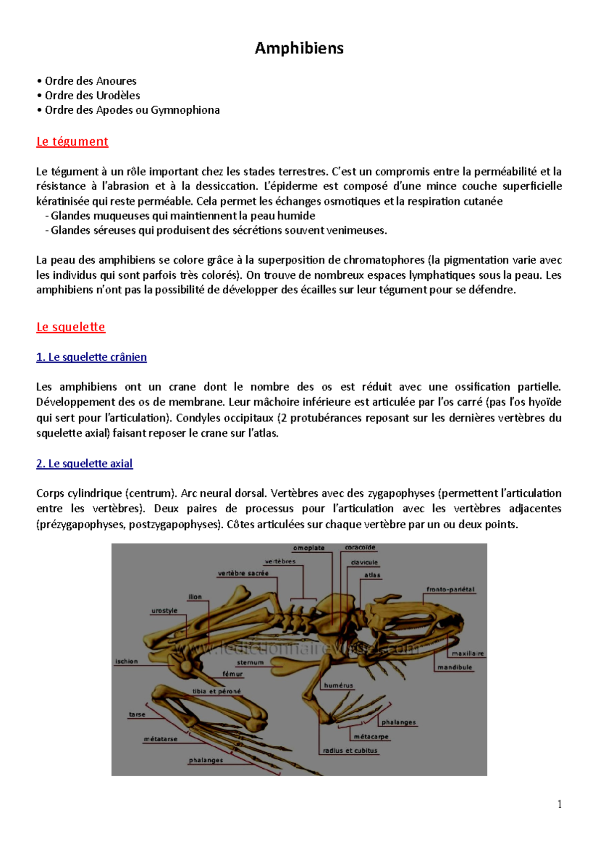 4- Les Amphibiens - Amphibiens • Ordre des Anoures • Ordre des Urodèles ...
