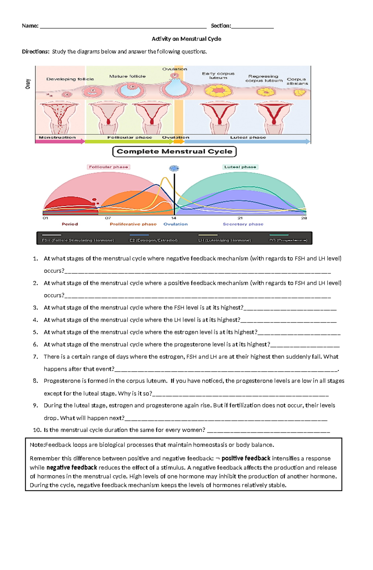 Activity on menstrual cycle 1 - Name