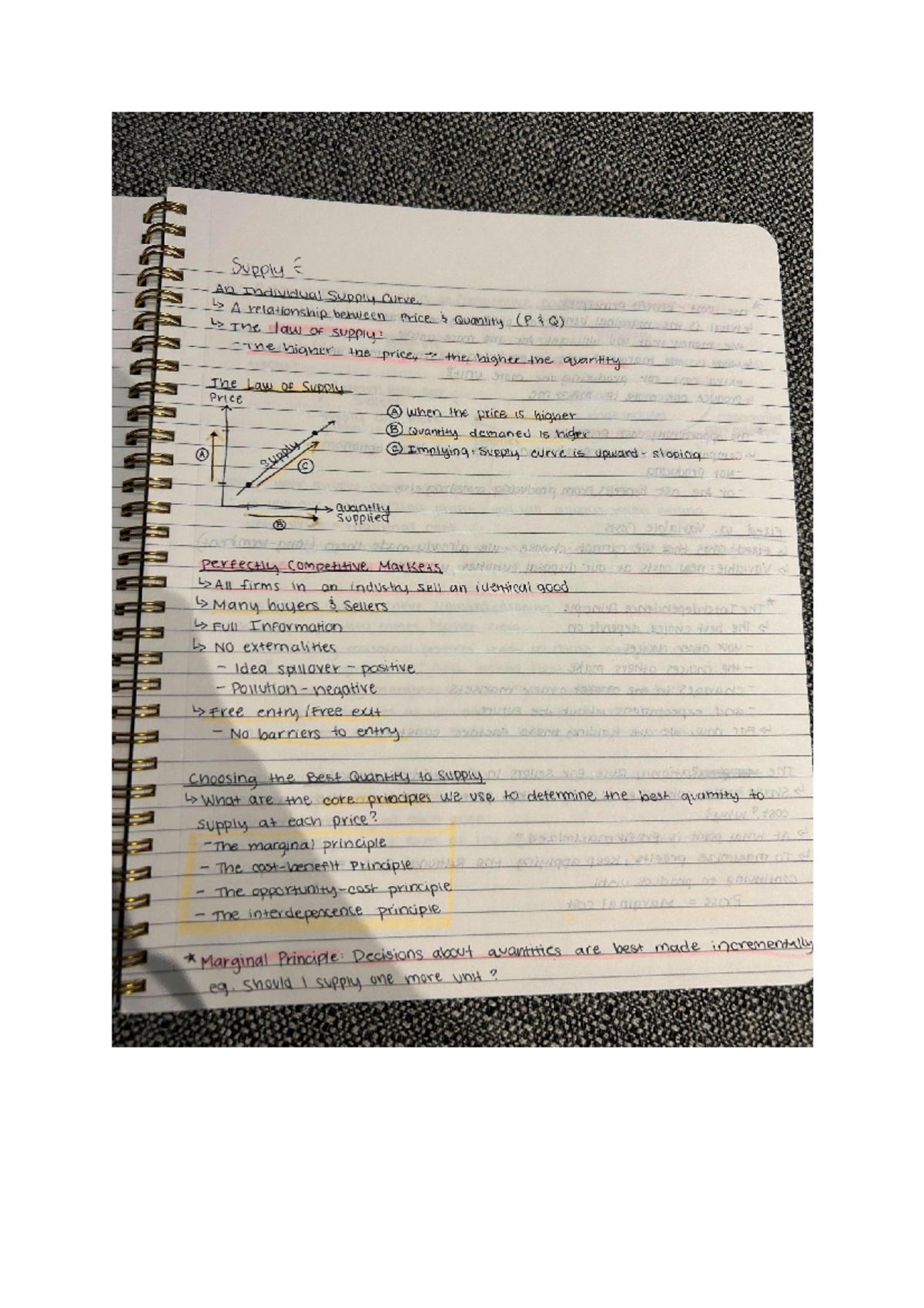 Studoc - Supply Notes - ECON 102 - Studocu