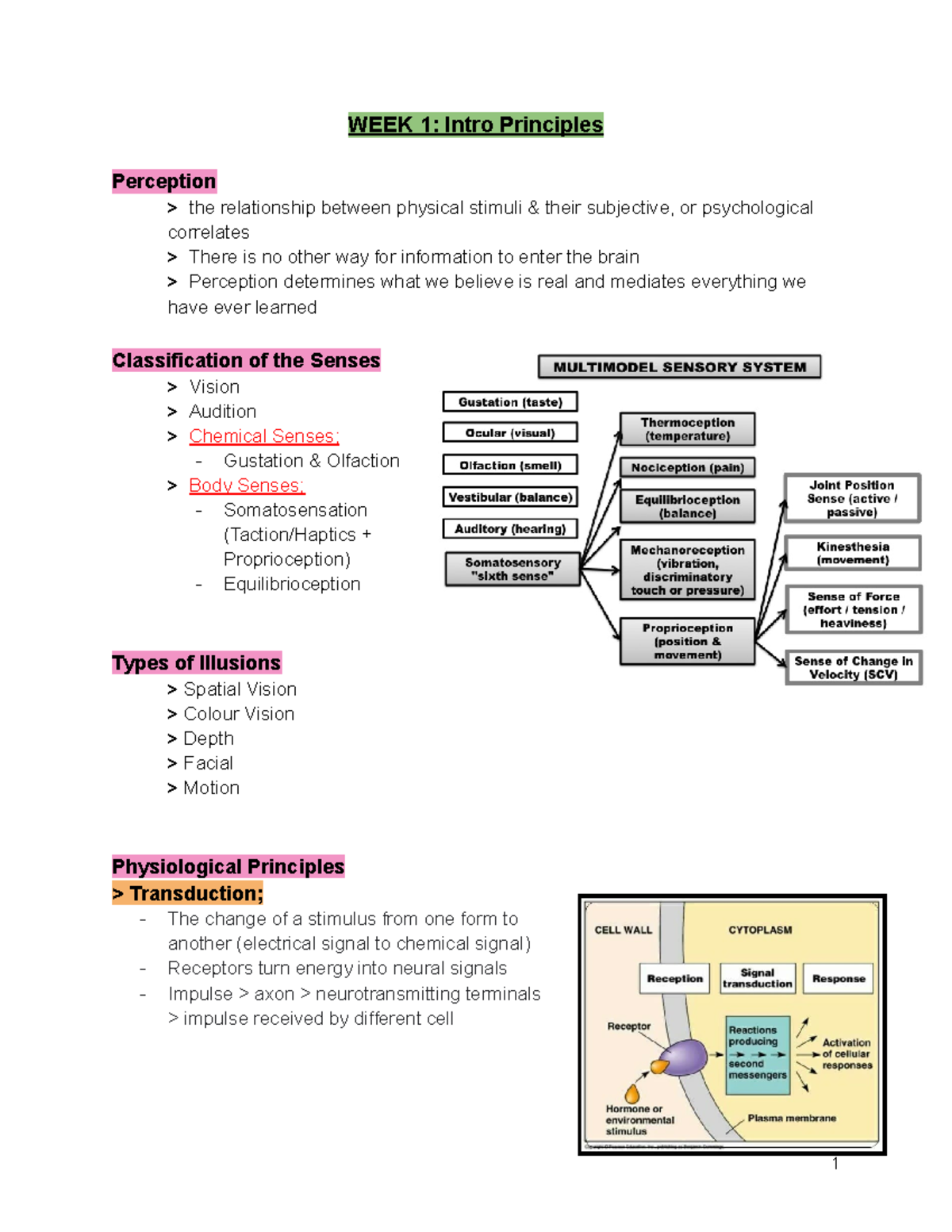 PSYU2247 - Weeks 1 through 13 of lecture summaries, diagrams and exam materials. - WEEK 1: Intro ...