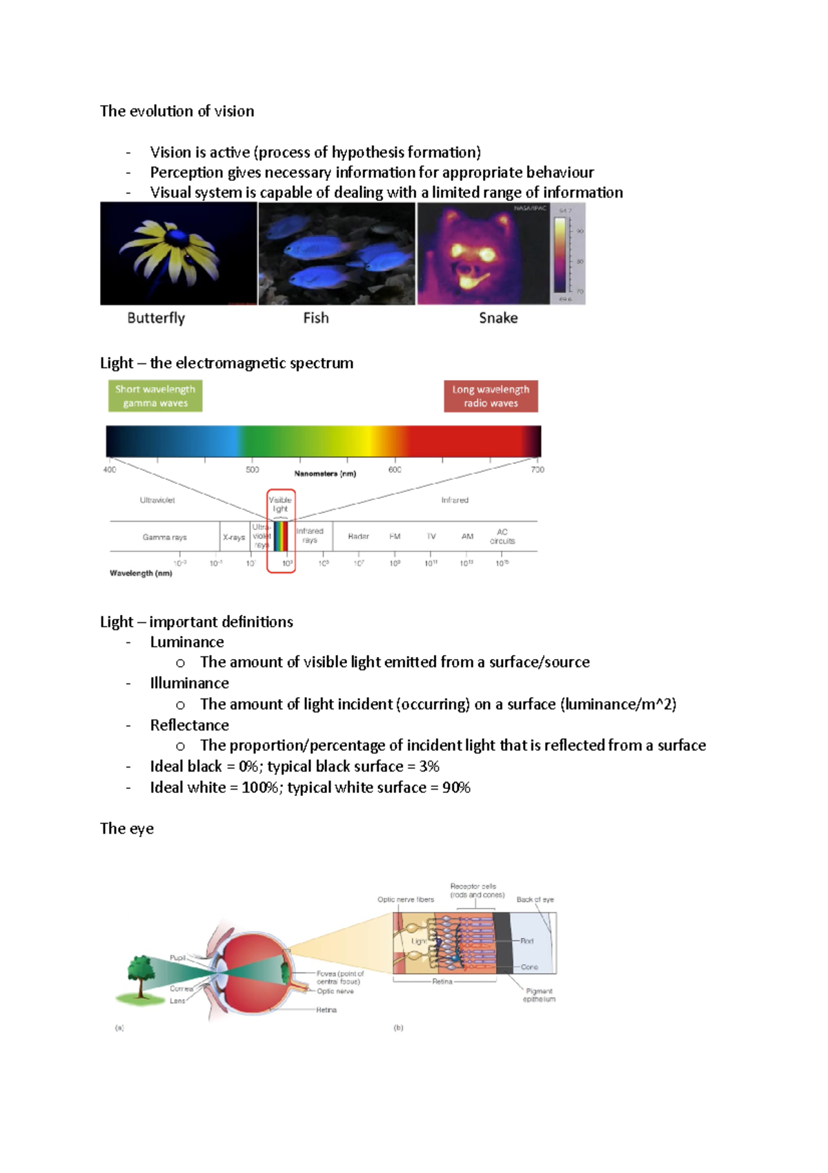 Perception lecture 3 notes - The evolution of vision Vision is active ...