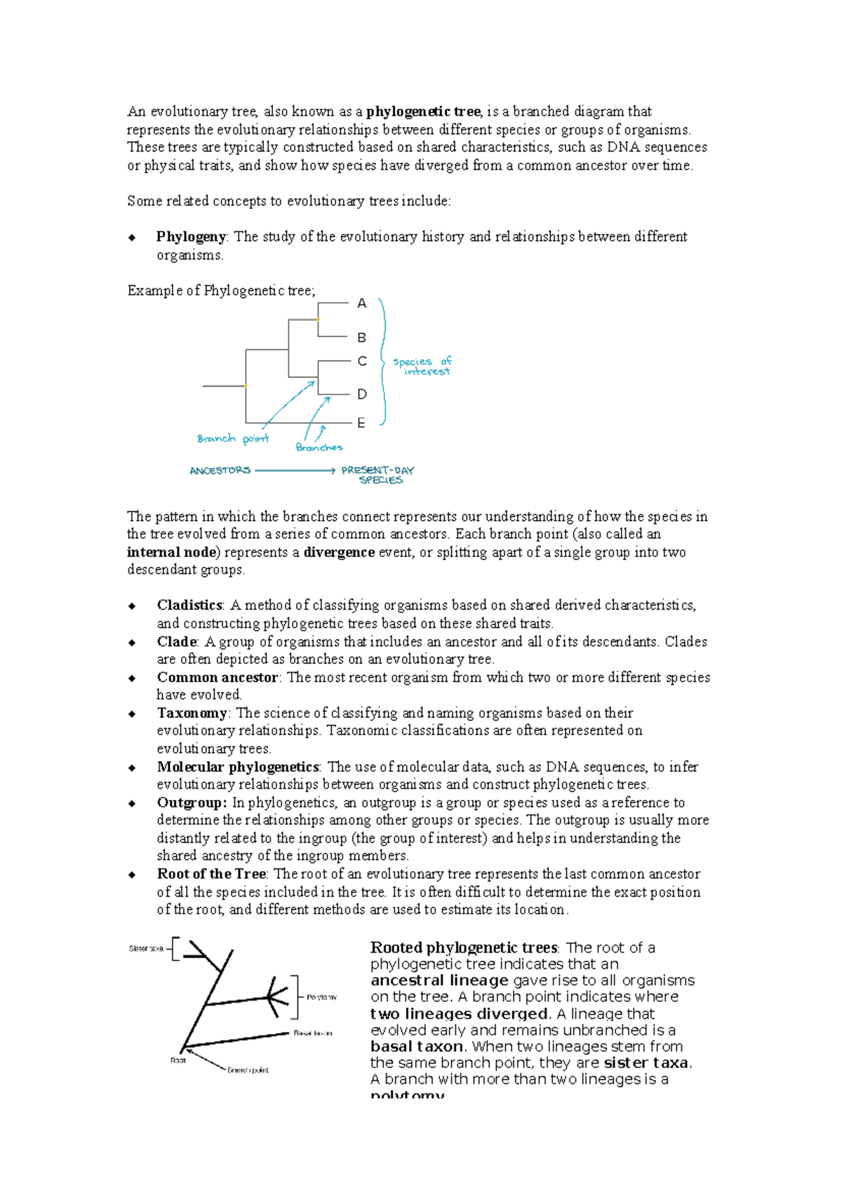An evolutionary tree - its my assignment - An evolutionary tree, also known as a phylogenetic ...