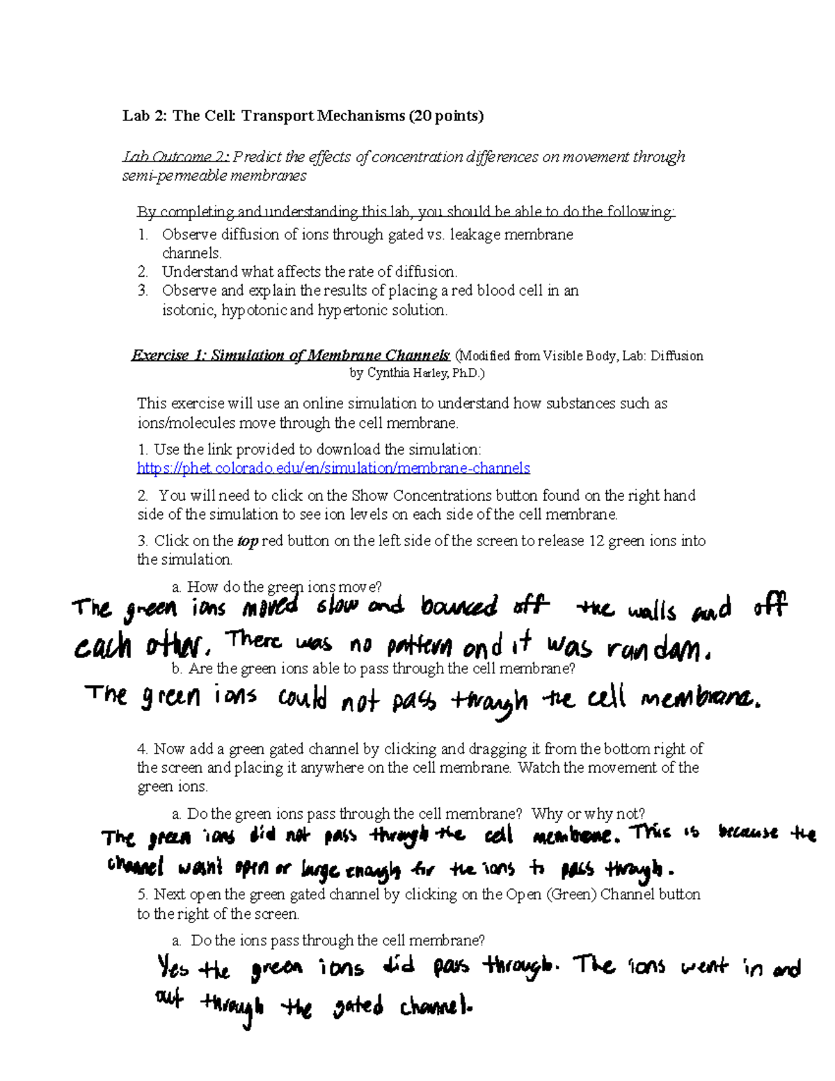 Cell Transport Lab - Lab 2: The Cell: Transport Mechanisms ( 20 points ...