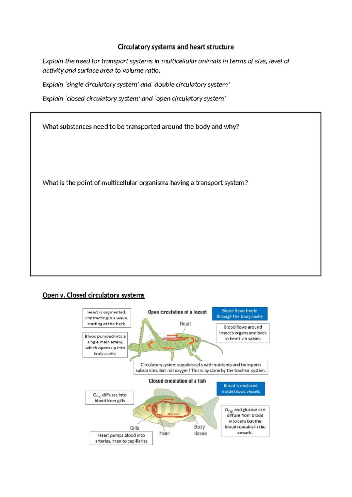 Lesson 3 handout Circ sys and heart - Circulatory systems and heart ...