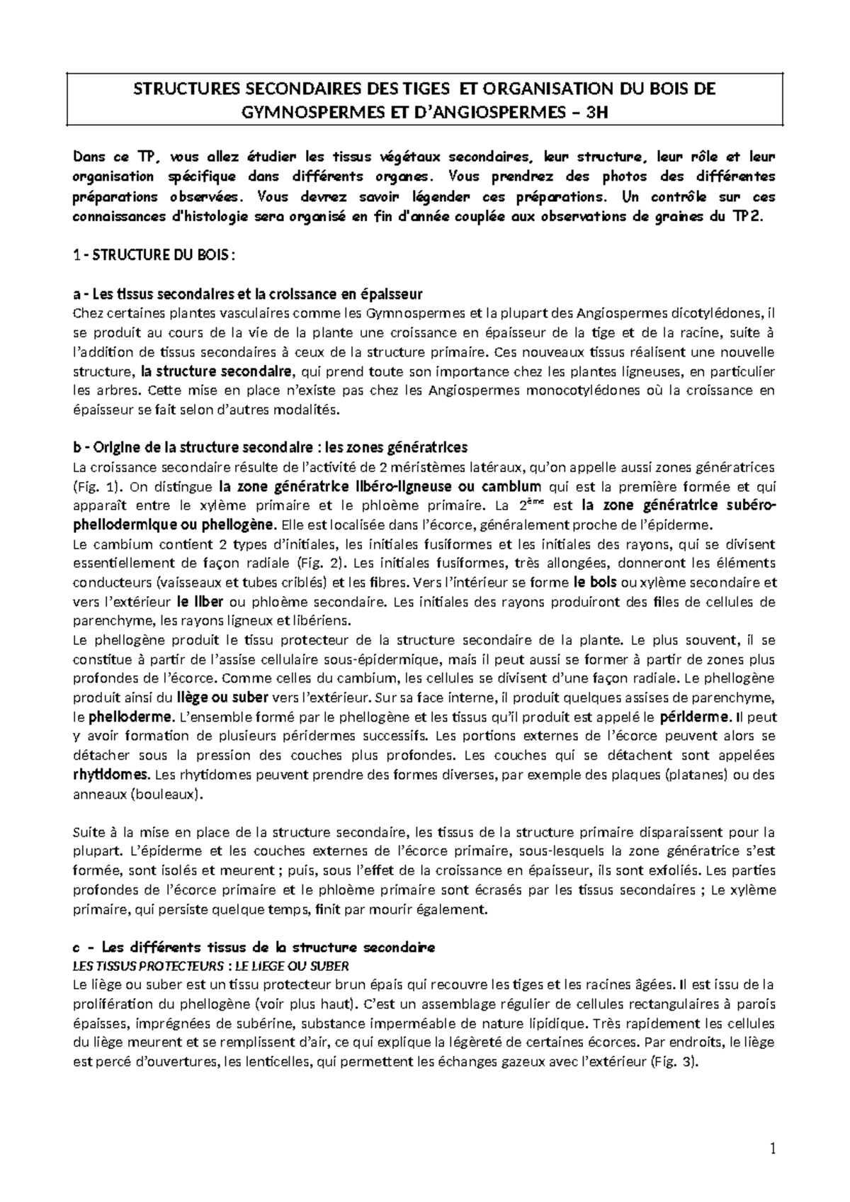 TP3 - structures secondaires et bois - STRUCTURES SECONDAIRES DES TIGES ET ORGANISATION DU BOIS ...