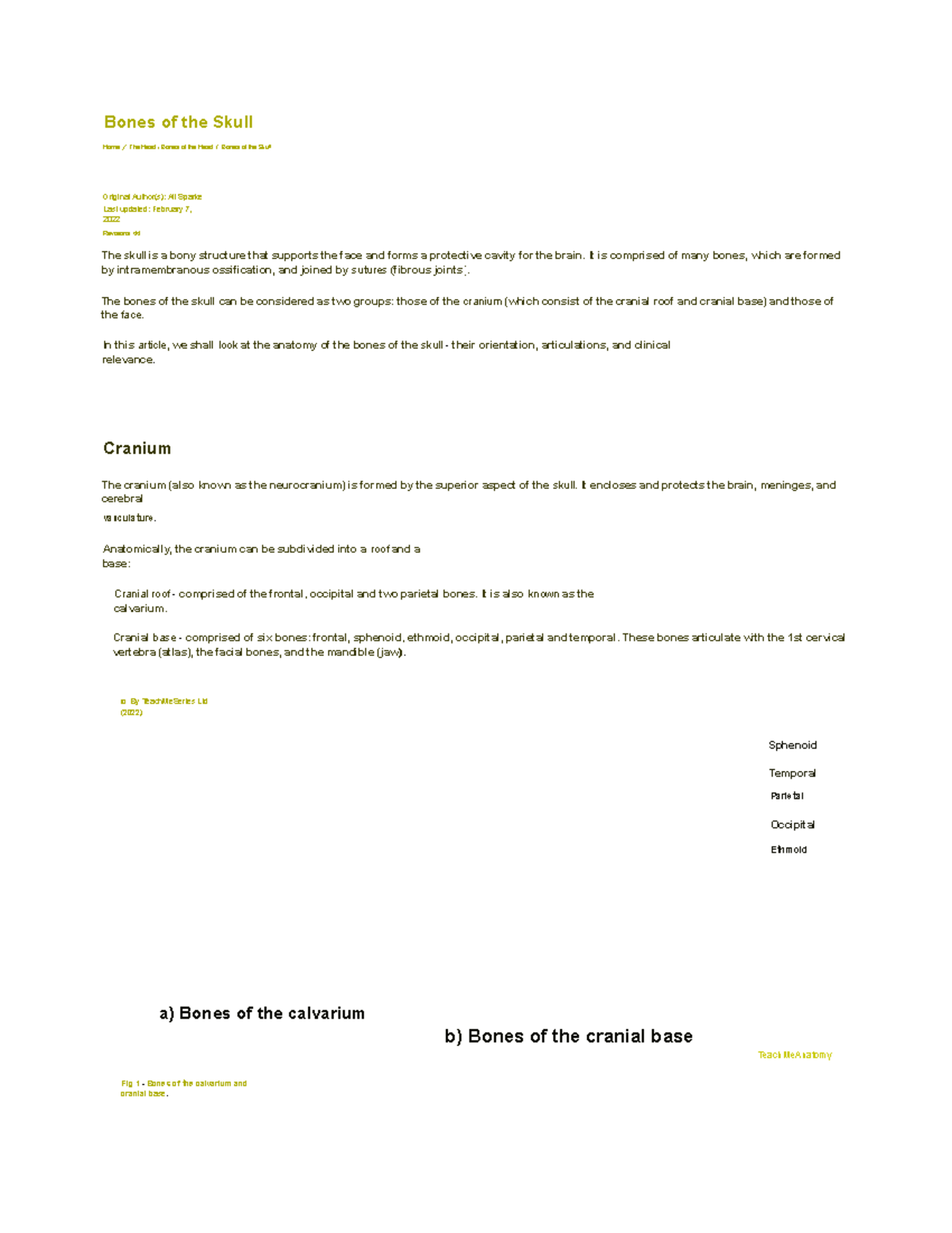 Bones of the Skull - notes for fundamentals of human anatomy and ...