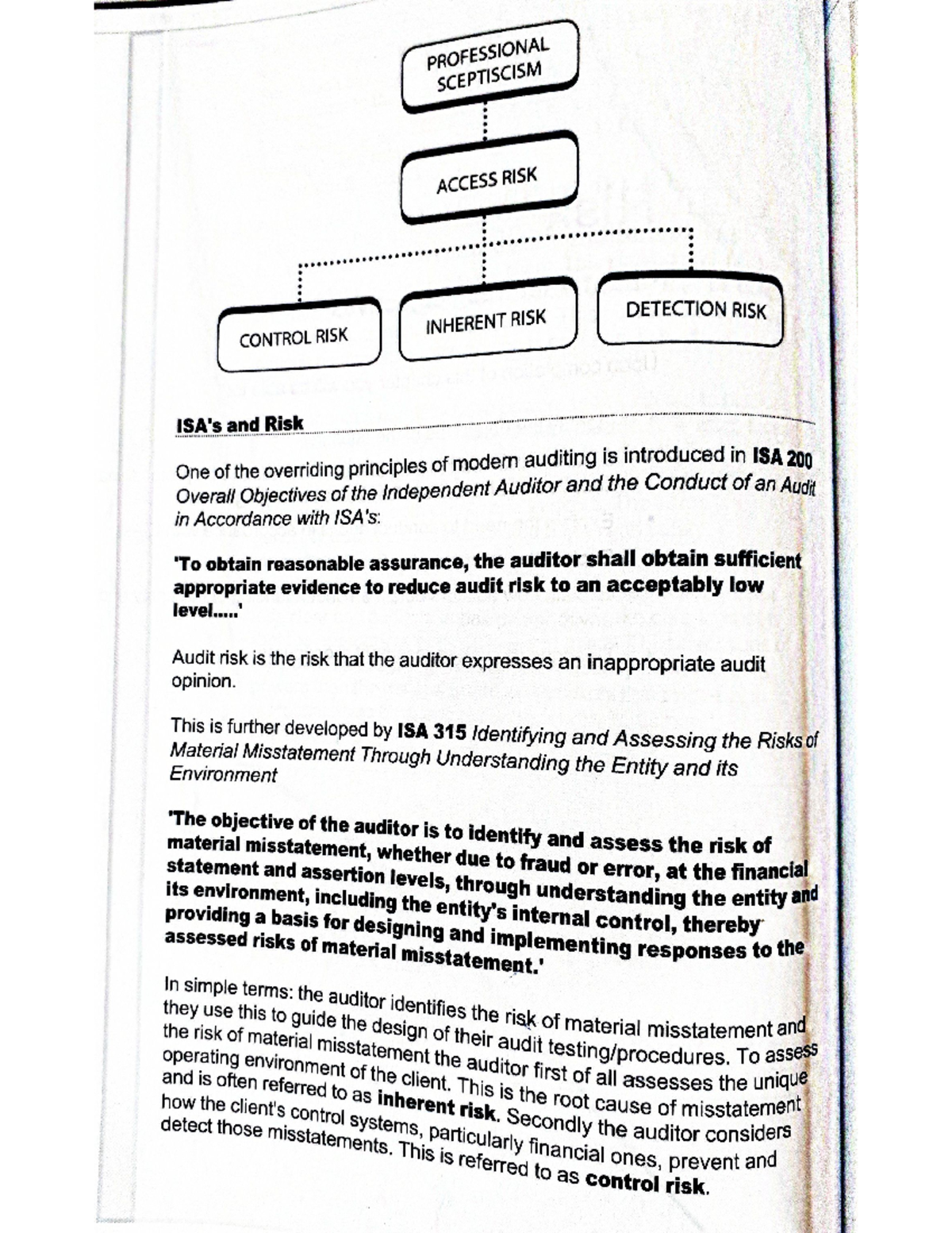 Risk Assessment - CPA - Computer auditing and accounting information ...