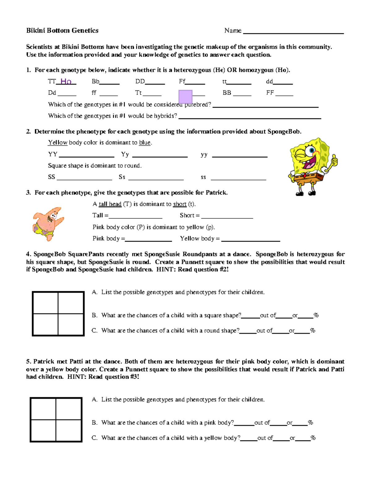 Spongebob Punnett Squares - Studocu