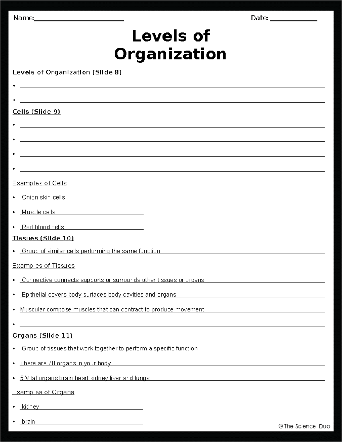 Levels+of+Organization+Worksheet - Name: Date: Levels of Organization ...