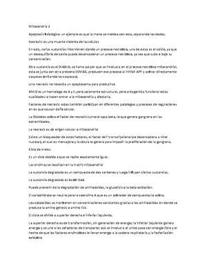 Ciclo Celular - TIPOS DE CÉLULAS Lábiles: Constantemente se renuevan ...