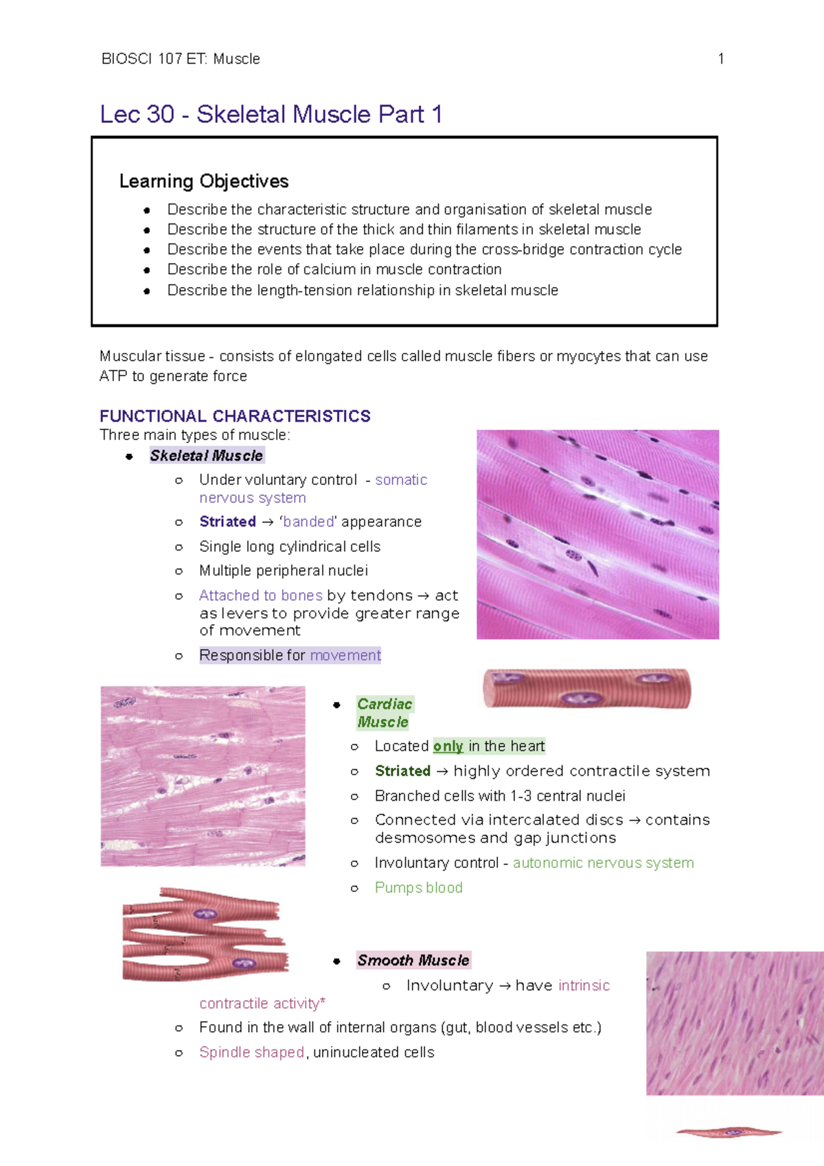 ET Muscle notes - Lec 30 - Skeletal Muscle Part 1 Learning Objectives ...