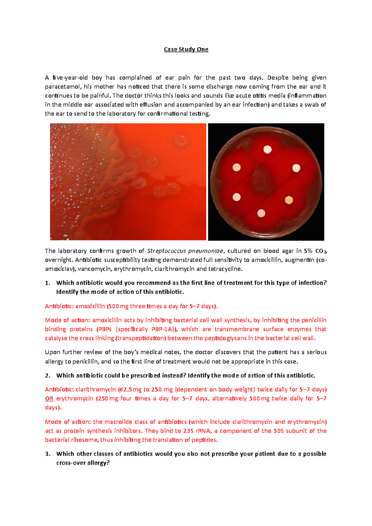 Antibiotic Case Studies with Answers - Case Study One A five-year-old ...