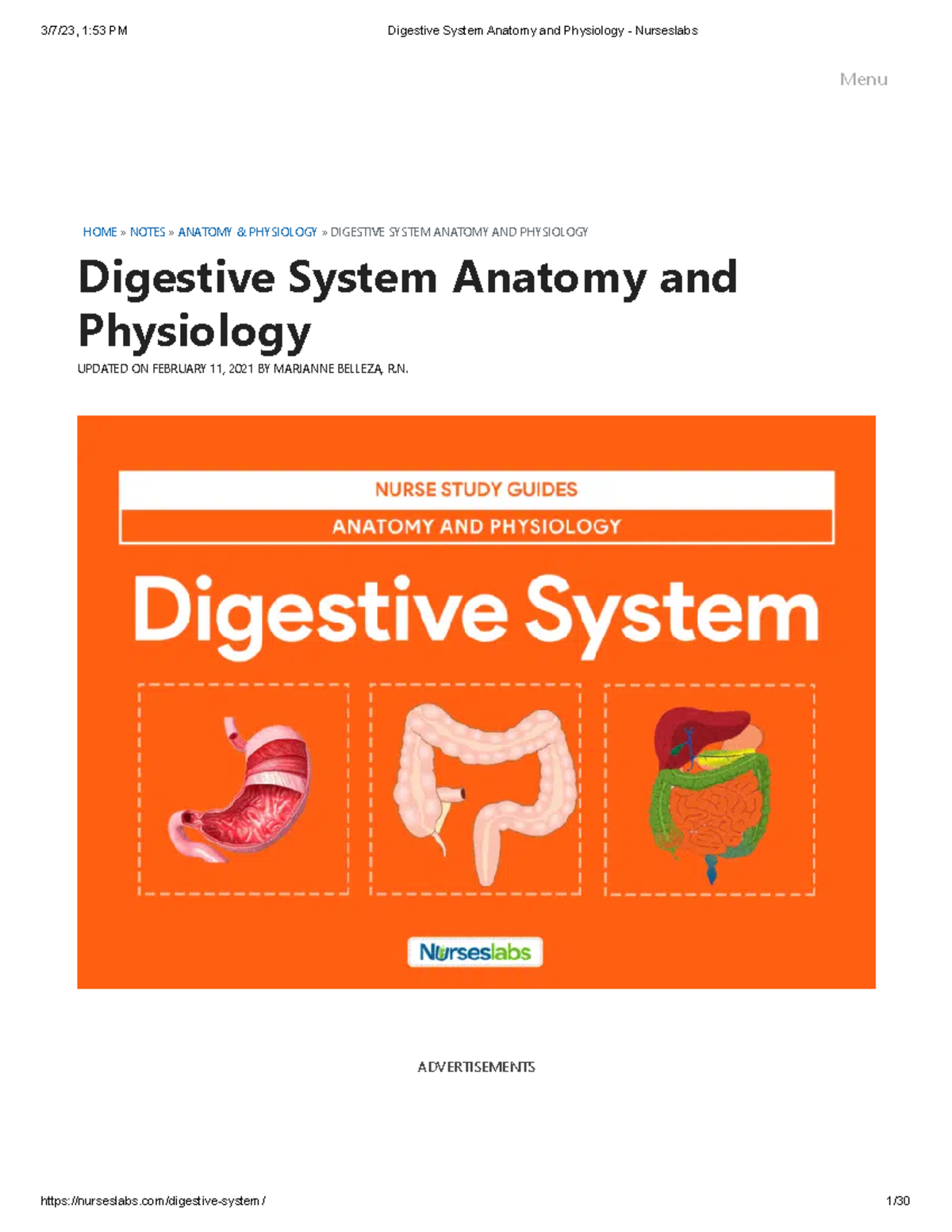 Digestive System Anatomy and Physiology - Nurseslabs-columbia southern ...