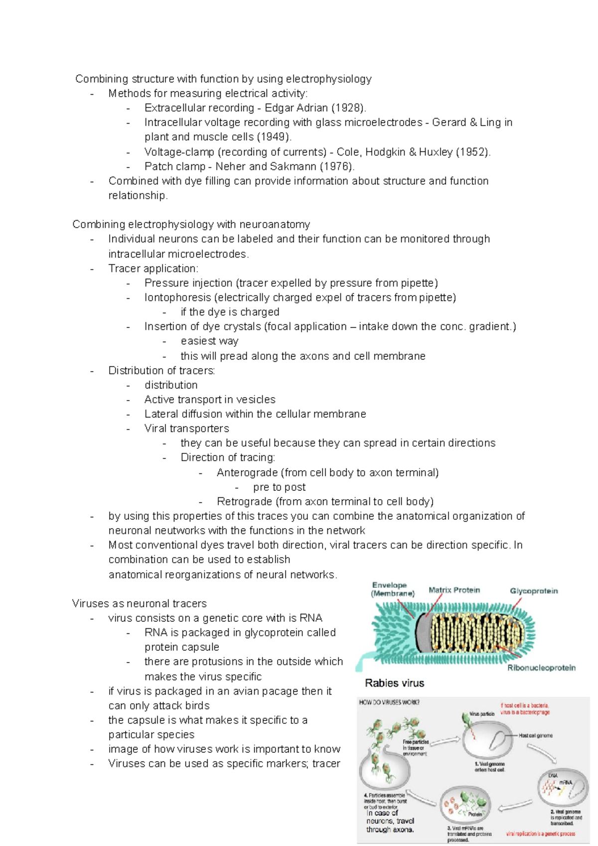 Lecture 6- how can we study function in the brain - Combining structure ...