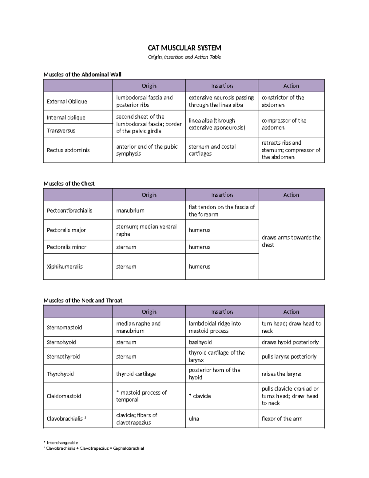 48785725 Cat Muscles Origin Insertion Action - CAT MUSCULAR SYSTEM ...