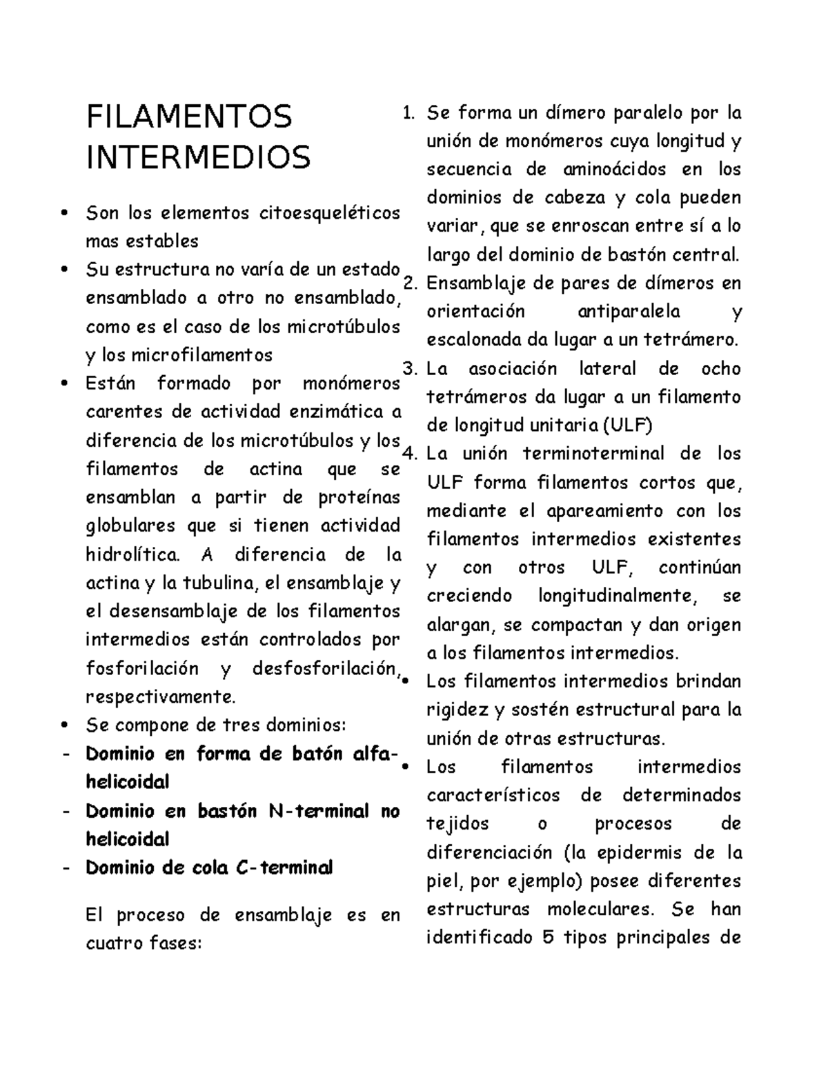 Filamentos Intermedios - FILAMENTOS INTERMEDIOS Son los elementos ...