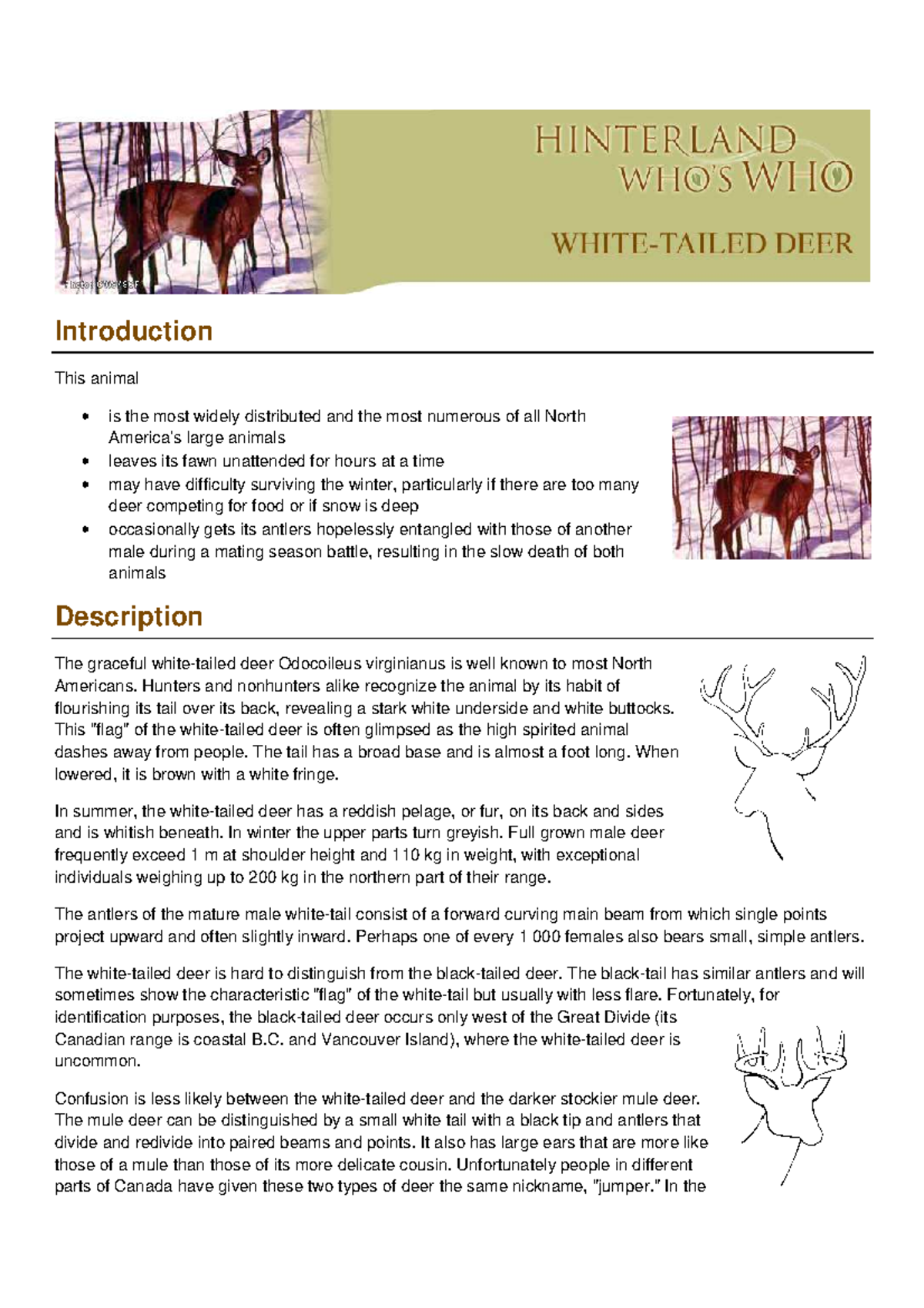 Behaviour of animals - Introduction This animal is the most widely ...